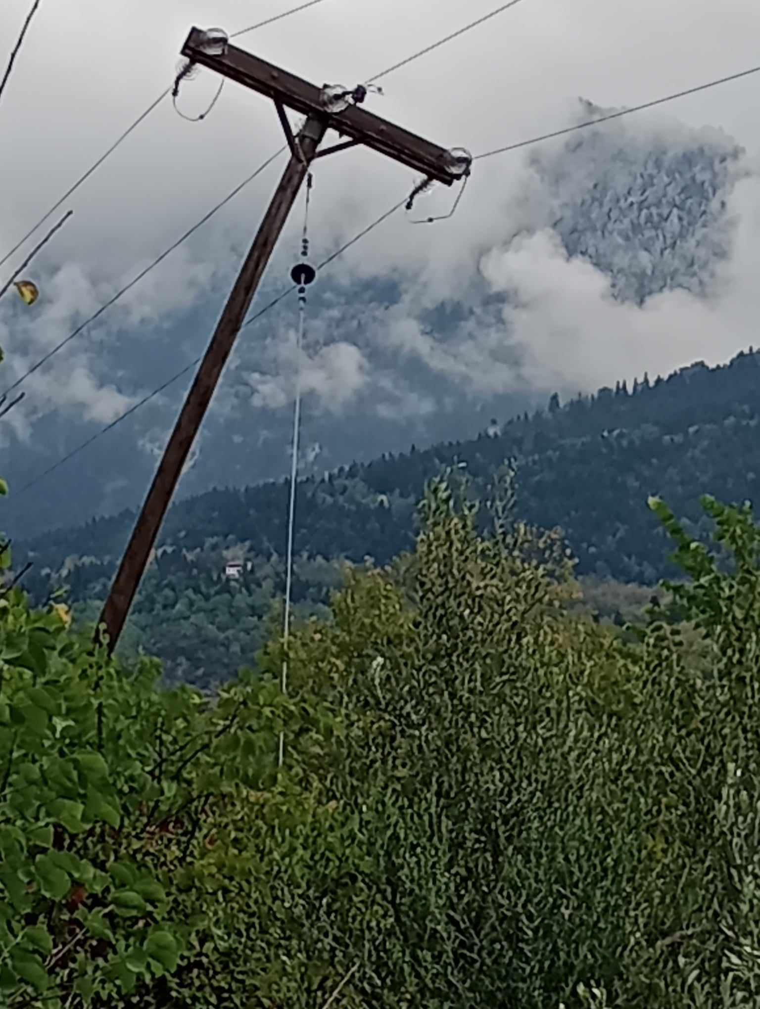 Απίστευτο κι όμως αληθινό: Εδω και 2 χρόνια κολώνα της ΔΕΗ έχει πάρει ...