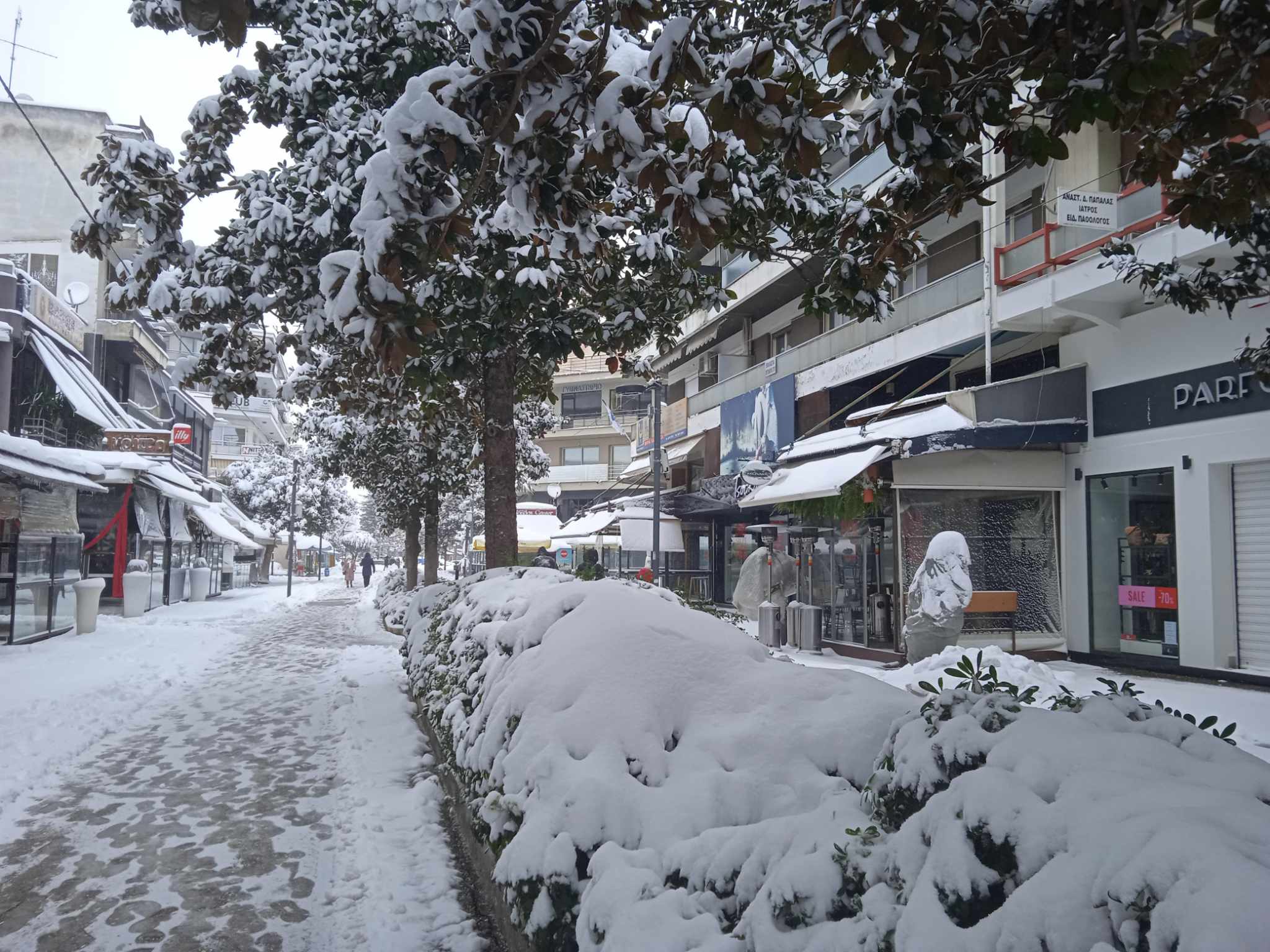 Ποια κακοκαιρία;;; Θα μας τρελάνουν... Είμαστε στην καρδιά του χειμώνα ...